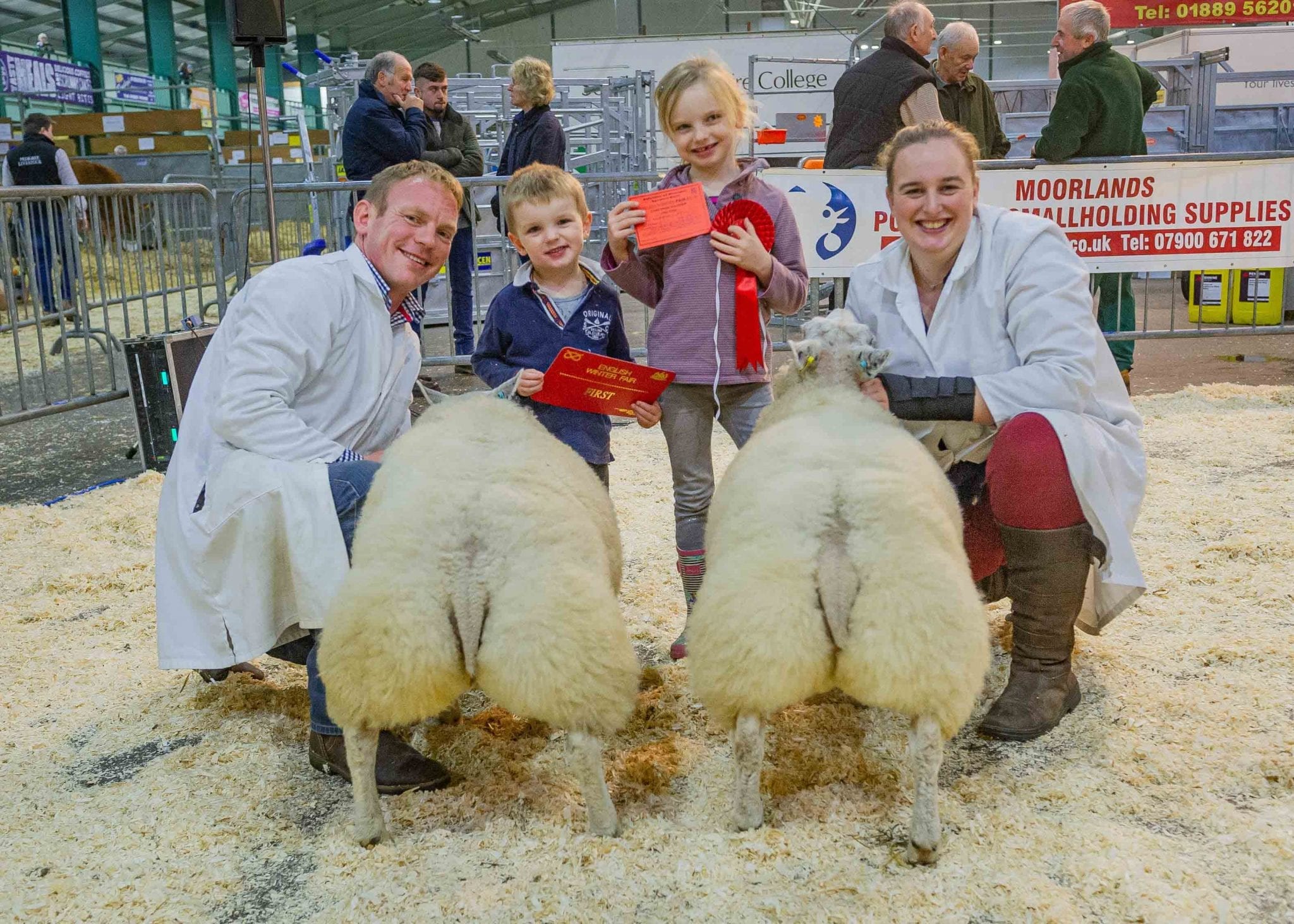 Two wins from two for the Jerman brothers | Beltex Sheep Society ...