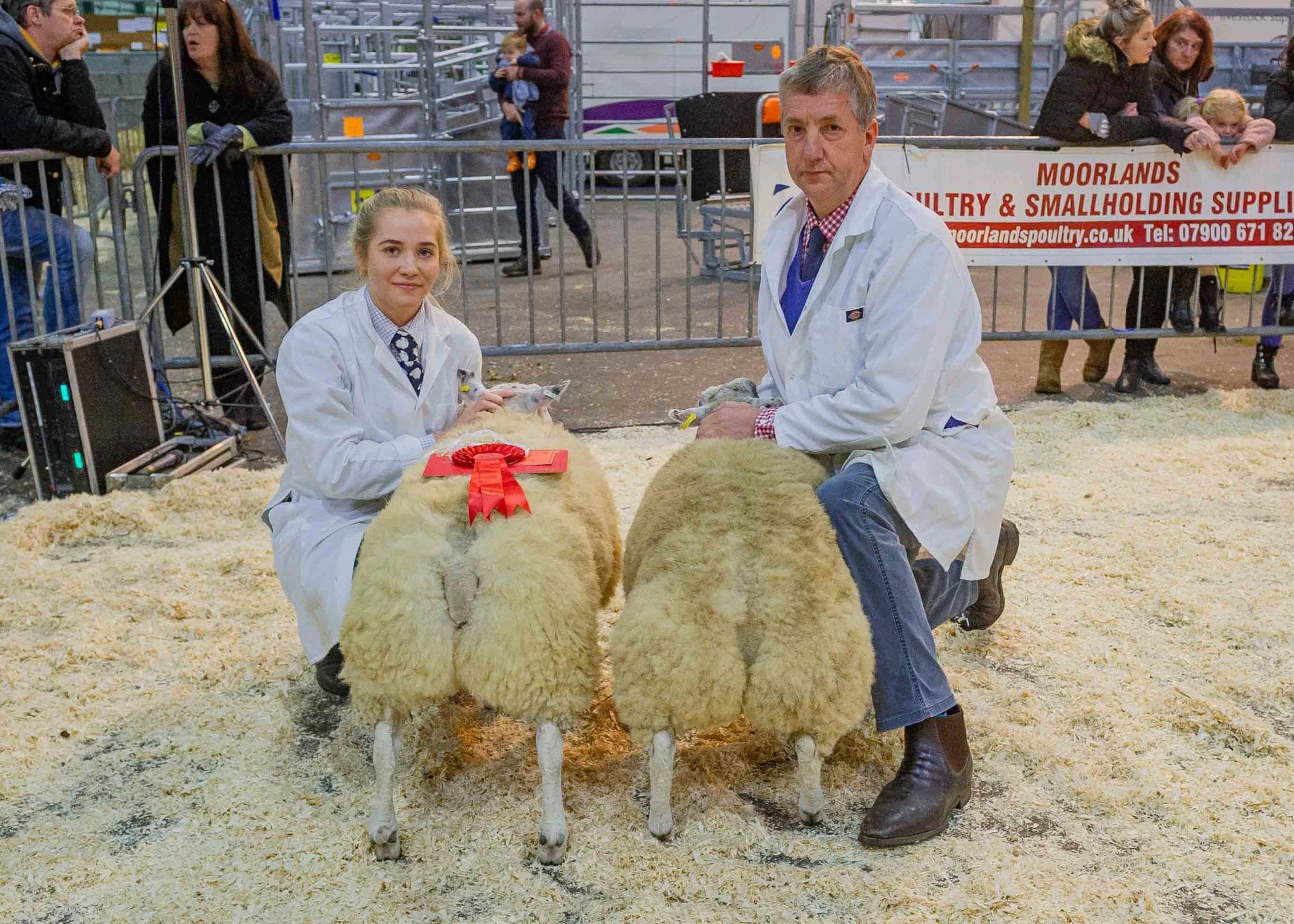 Two wins from two for the Jerman brothers | Beltex Sheep Society ...