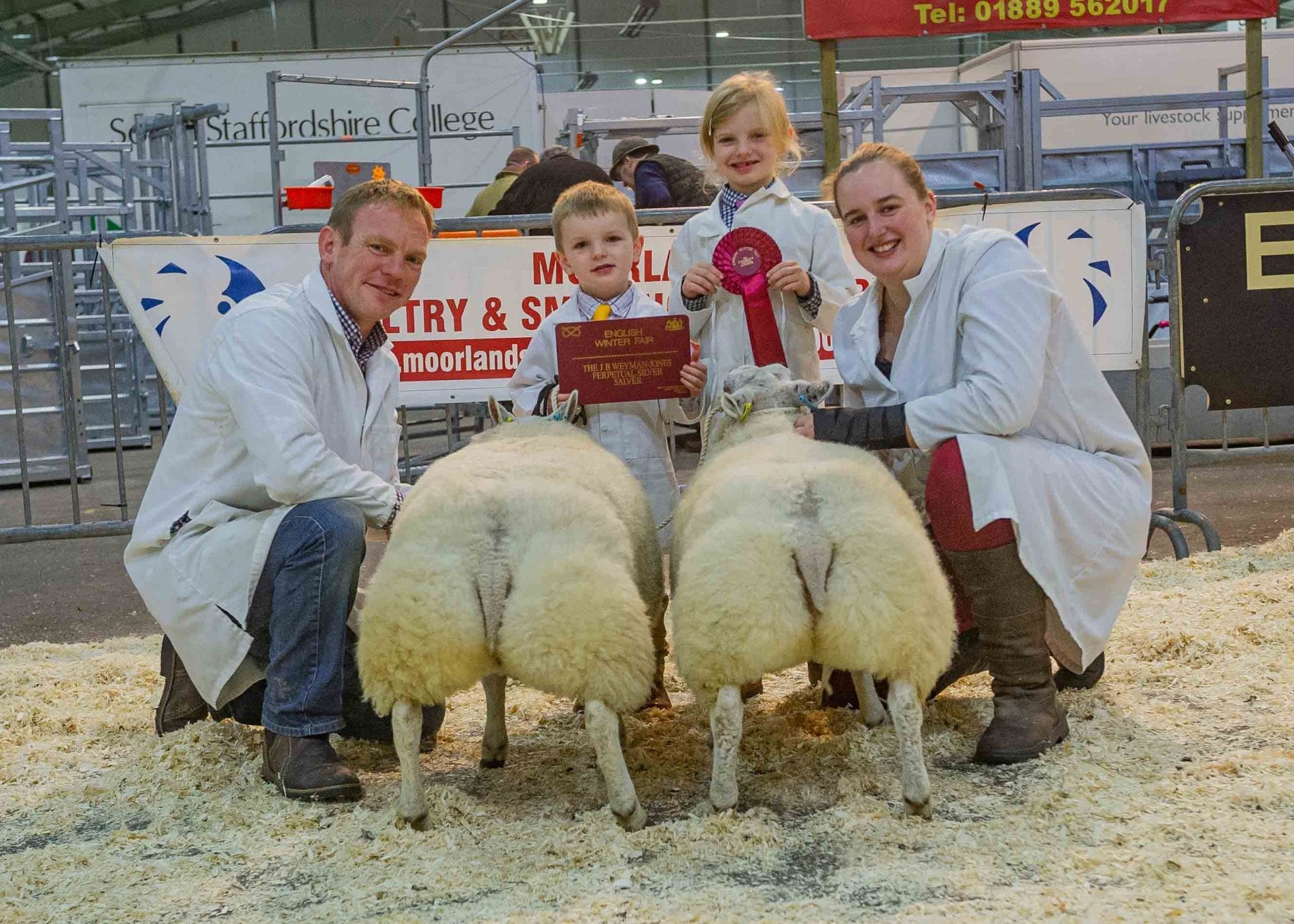 Two wins from two for the Jerman brothers | Beltex Sheep Society ...