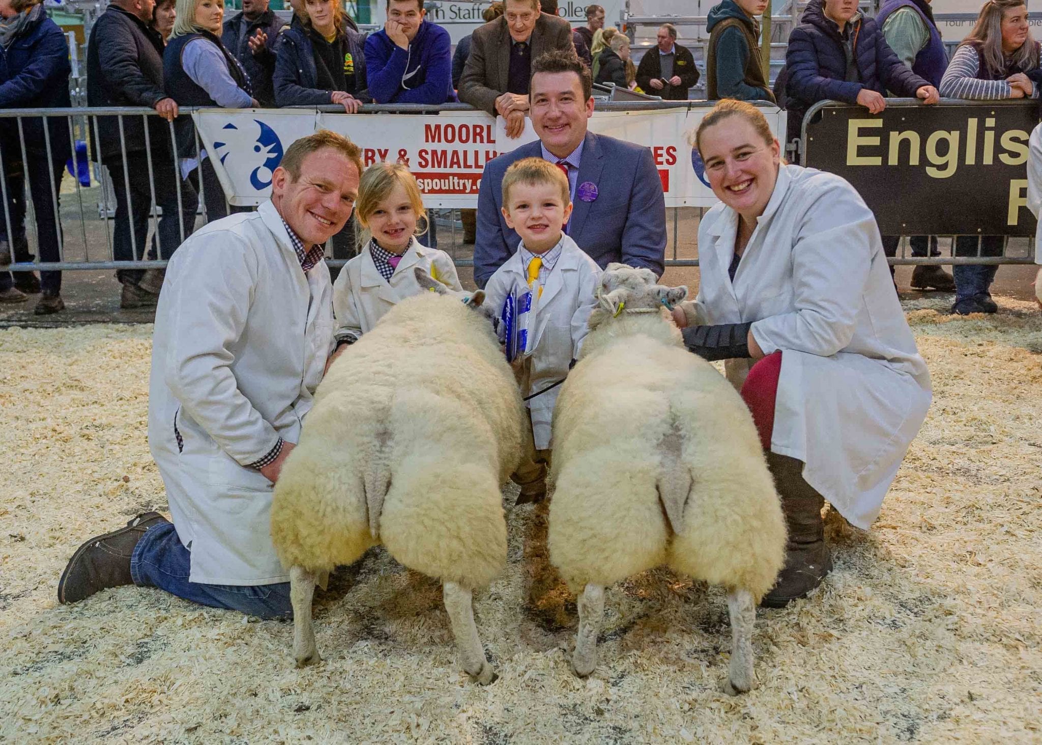 Two wins from two for the Jerman brothers | Beltex Sheep Society ...