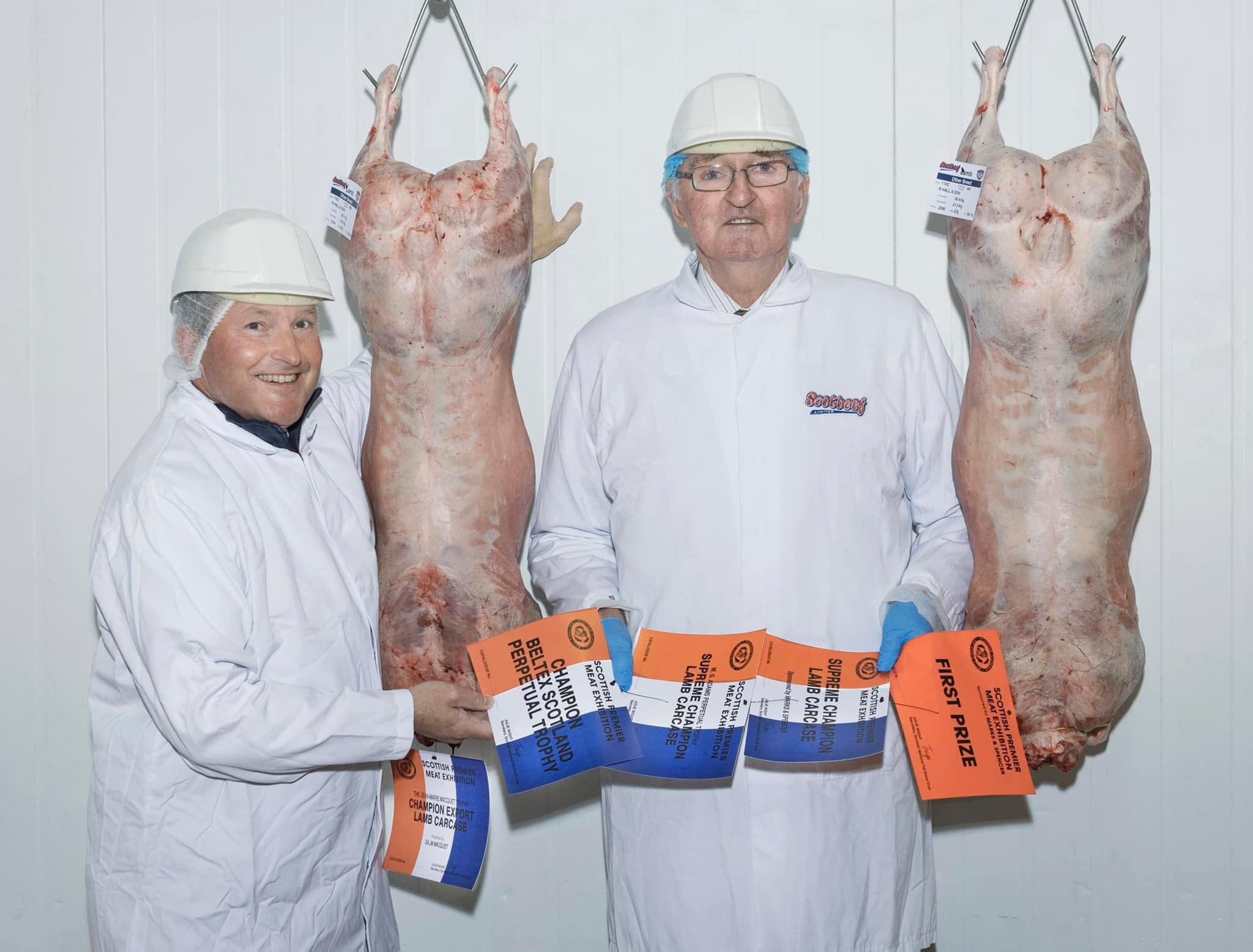 Premier Meat Exhibition | Beltex Sheep Society | Beltex Sheep Society