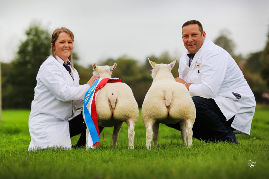 AgriFest South West | Beltex Sheep Society | Beltex Sheep Society