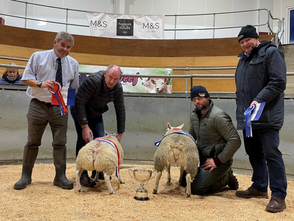 Premier Meat Exhibition | Beltex Sheep Society | Beltex Sheep Society