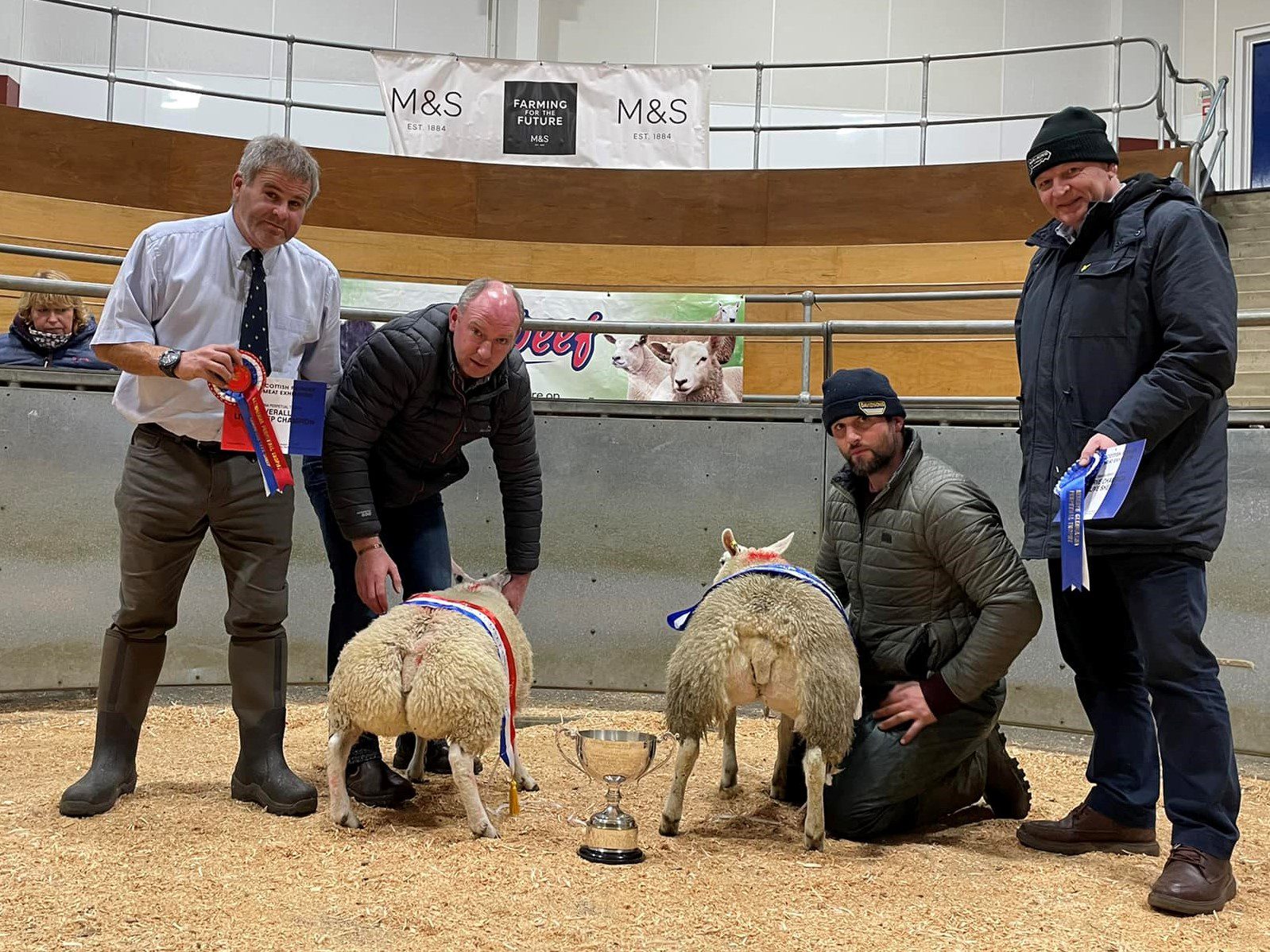 Premier Meat Exhibition | Beltex Sheep Society | Beltex Sheep Society